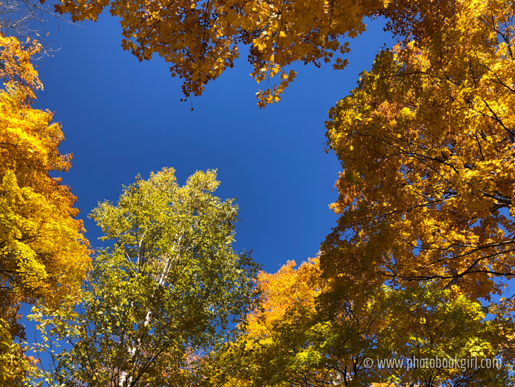 Photographing Fall Color With Fresh Eyes